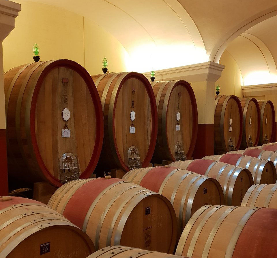 Il Pollenza – Meroni Vini